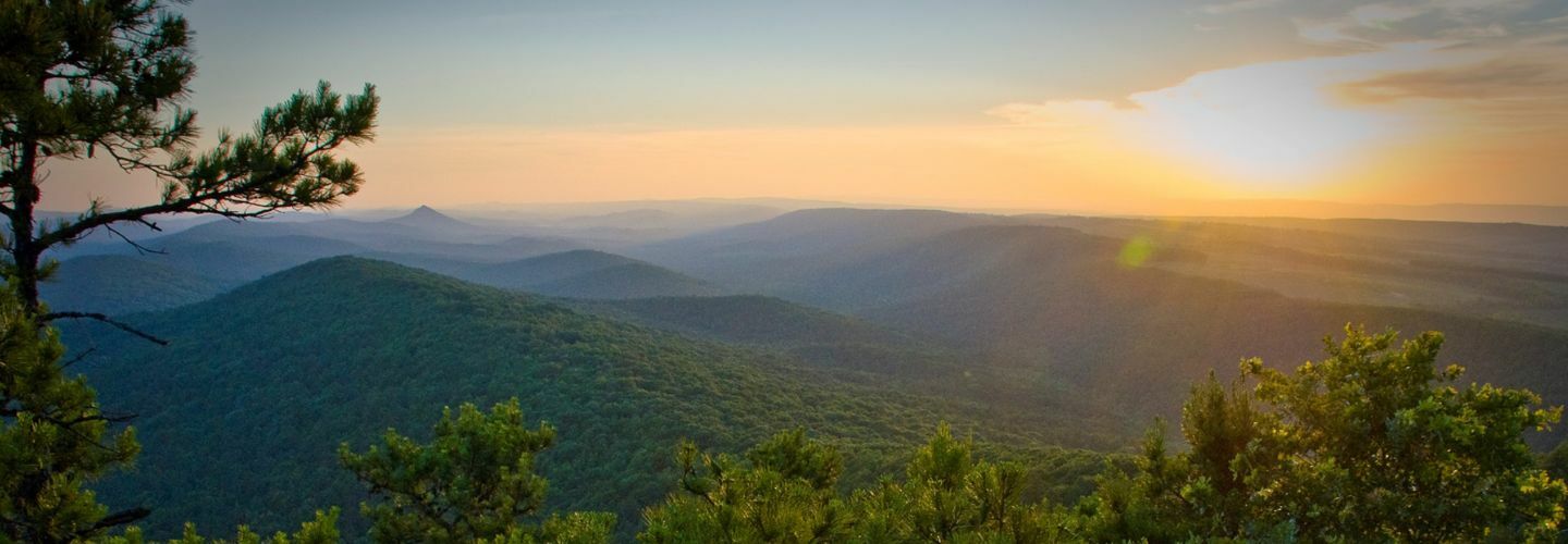 Focused on the Long View: Capital Management at Stephens | Stephens