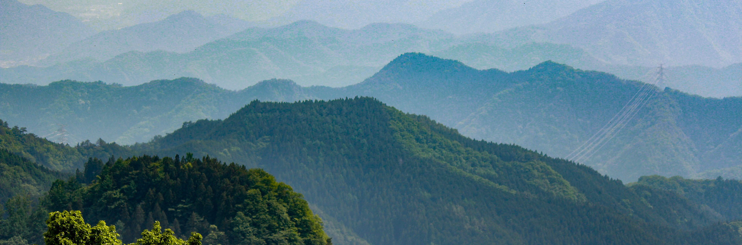 Capital & Asset Management Services | Stephens